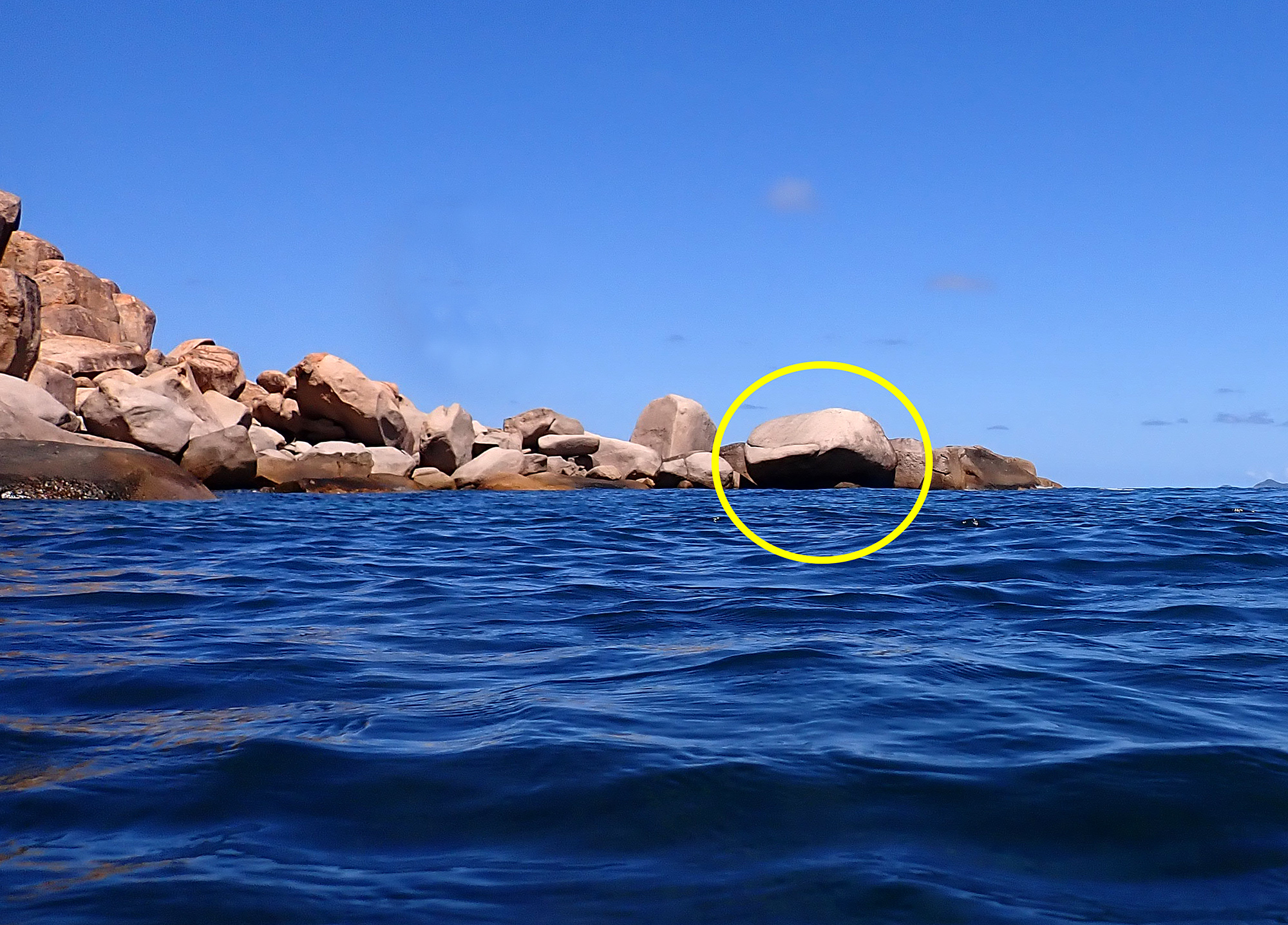 Florence Bay – Coral Sea Foundation